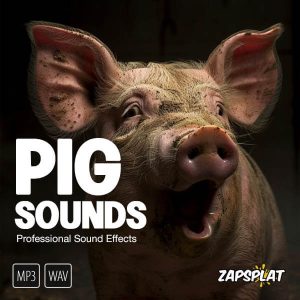 Download this pack of FREE Pig Sounds sound effects
