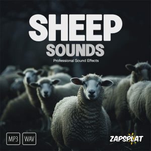 Download this pack of Sheep Sounds sound effects
