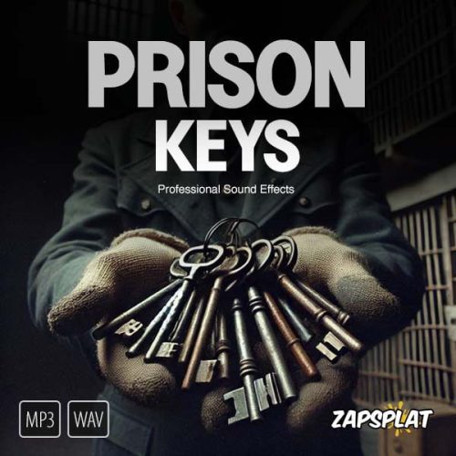 Prison Sounds | Download FREE Prison sound effects | Zapsplat