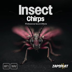 Download this pack of FREE Insect Chirps sound effects